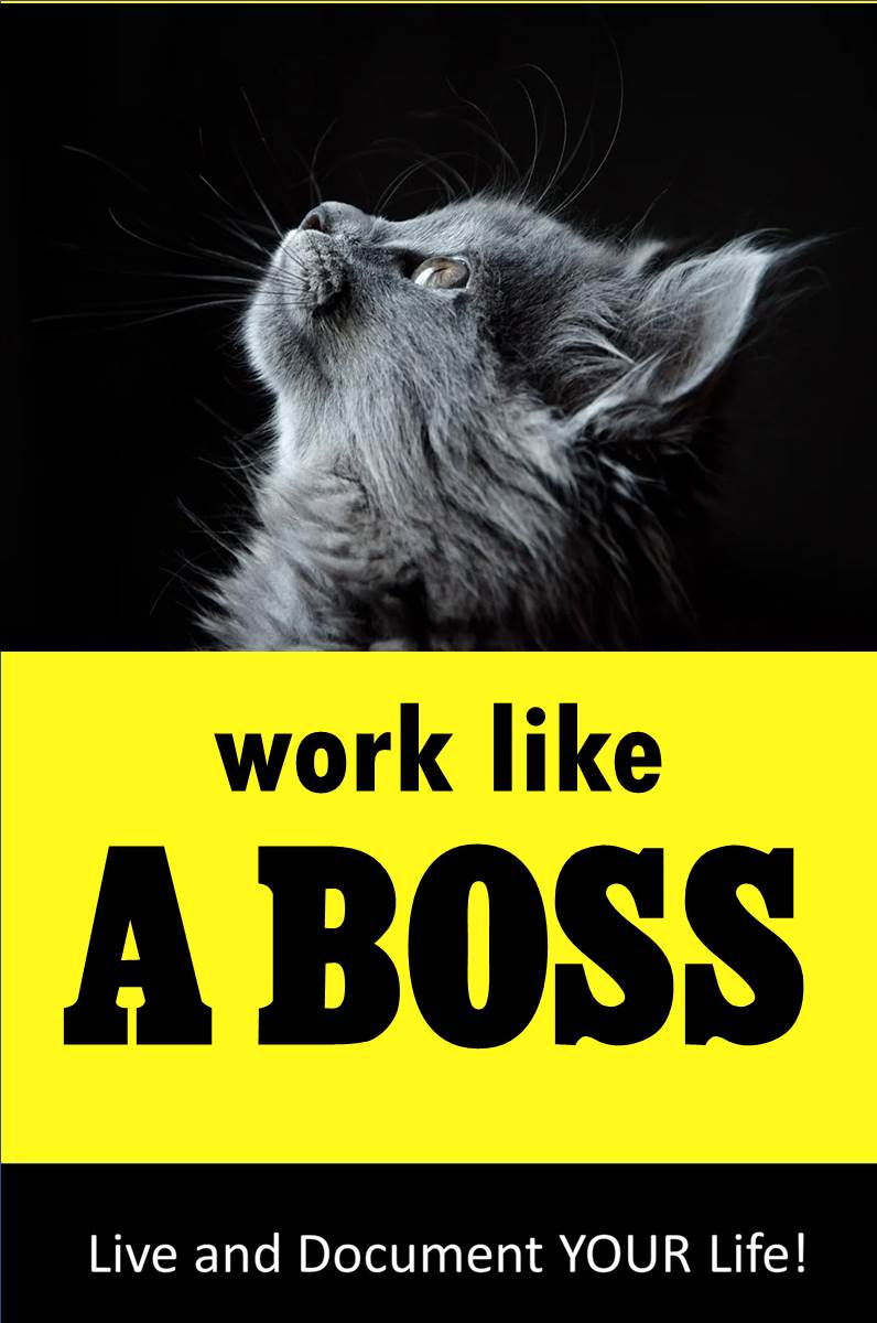 Work Like A Boss - SMF Services, Inc.